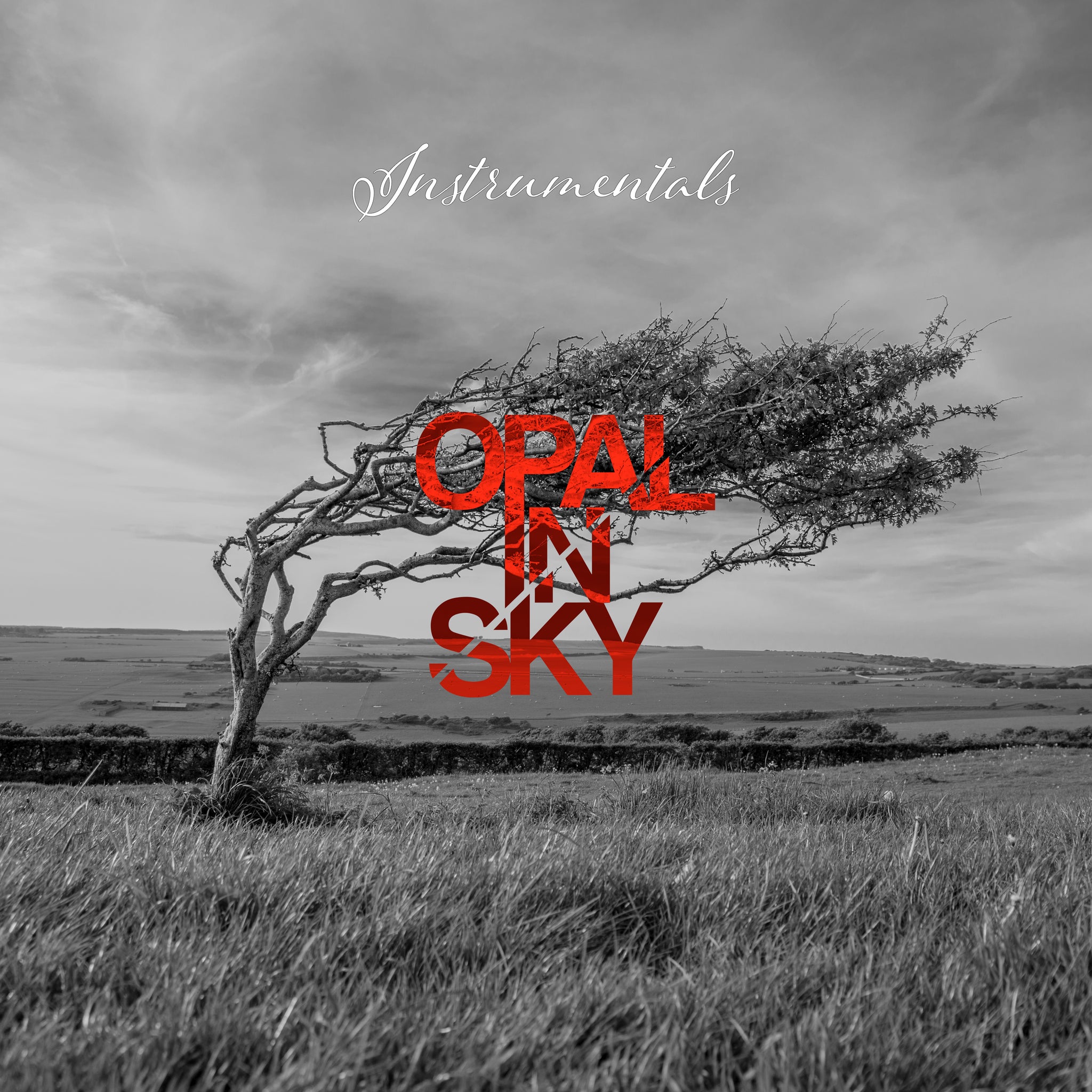 OPAL IN SKY "Instrumentals" – OPAL IN SKY Merch